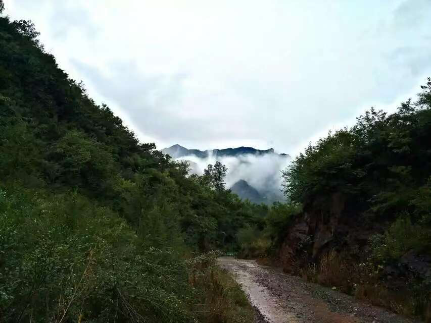 山_Can1022-站酷ZCOOL