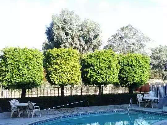 绿色_Can1022-站酷ZCOOL