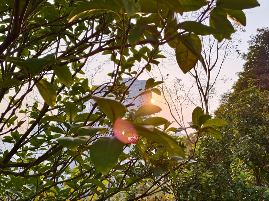 阳光2_cucu_J-站酷ZCOOL