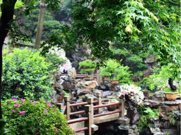 绿色_Can1022-站酷ZCOOL