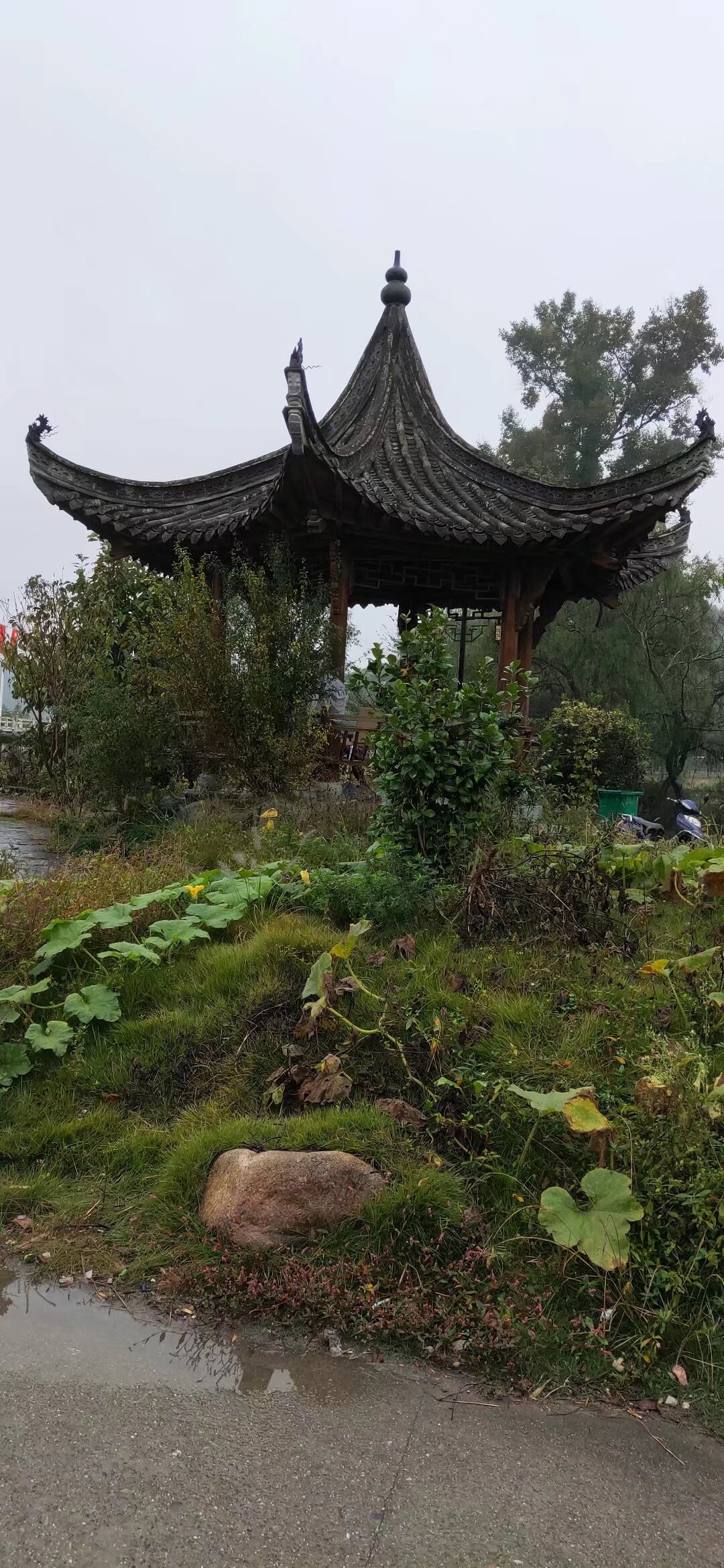 🏞️古亭与绿植：乡村园林的和谐景致_Carolin_瑶-站酷ZCOOL