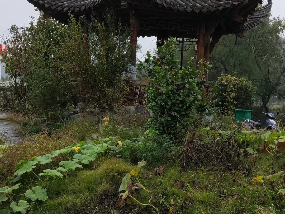 🏞️古亭与绿植：乡村园林的和谐景致_Carolin_瑶-站酷ZCOOL