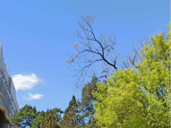 kk_一凡2024-站酷ZCOOL