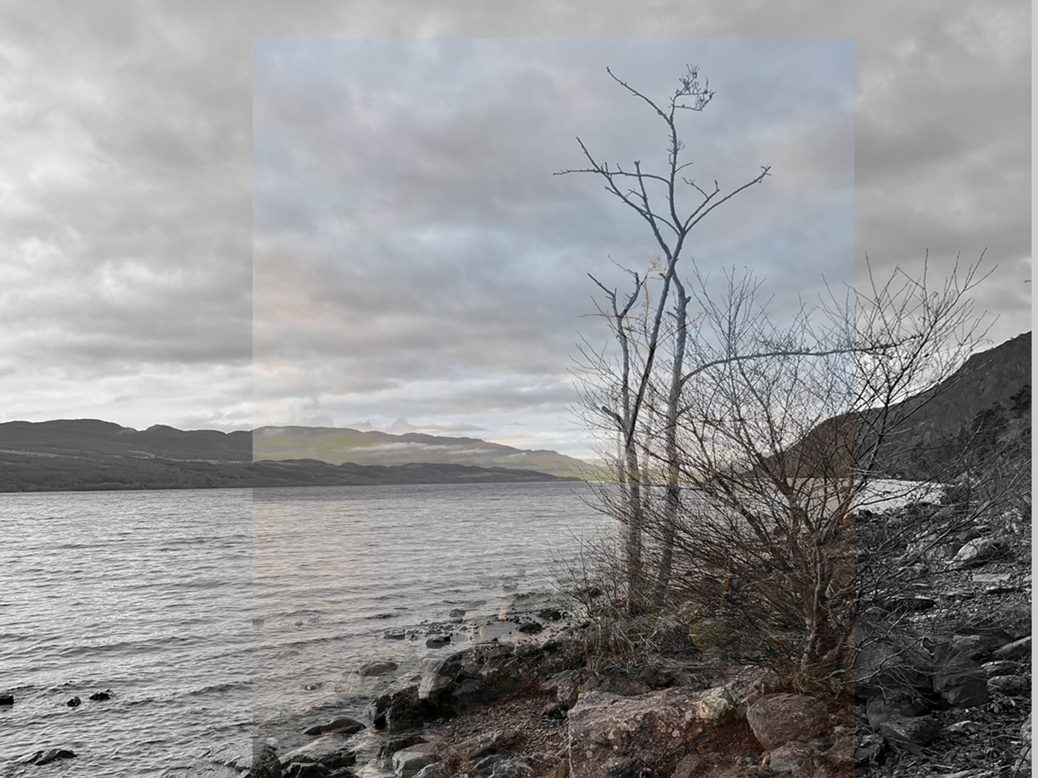 练习_Sevne7-站酷ZCOOL