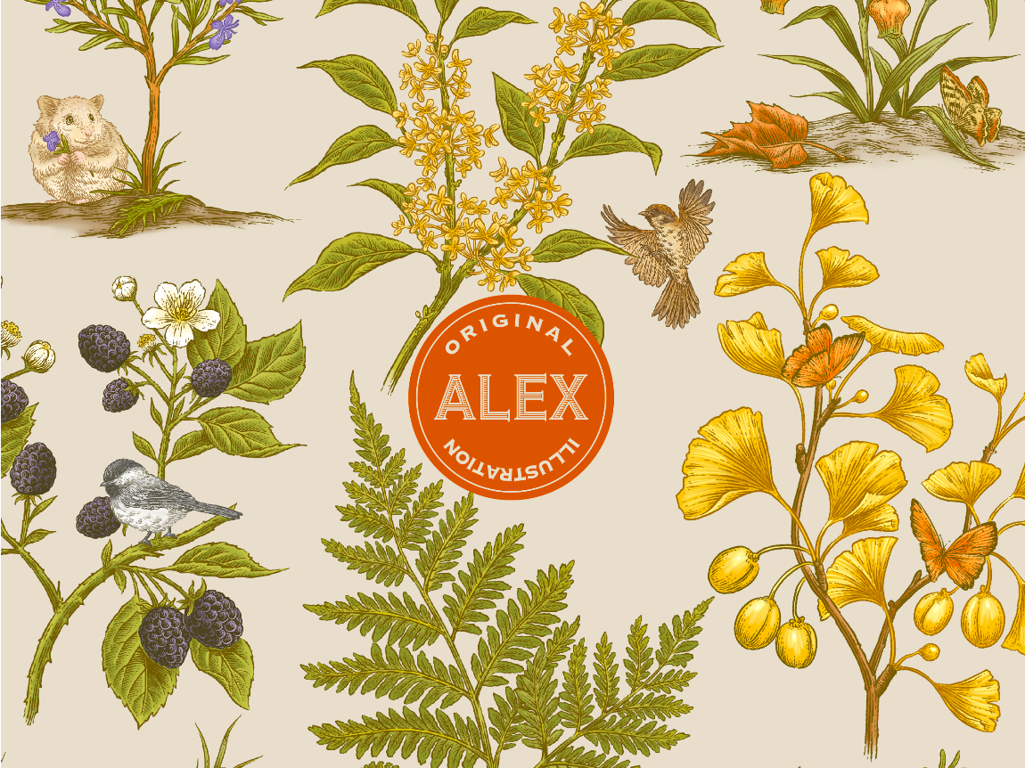 Forestletter插画完结篇_花椒的Alex-站酷ZCOOL