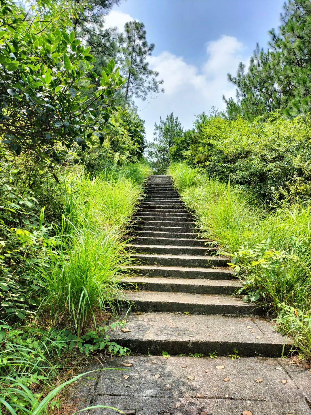 台阶_小狮纸cool-站酷ZCOOL