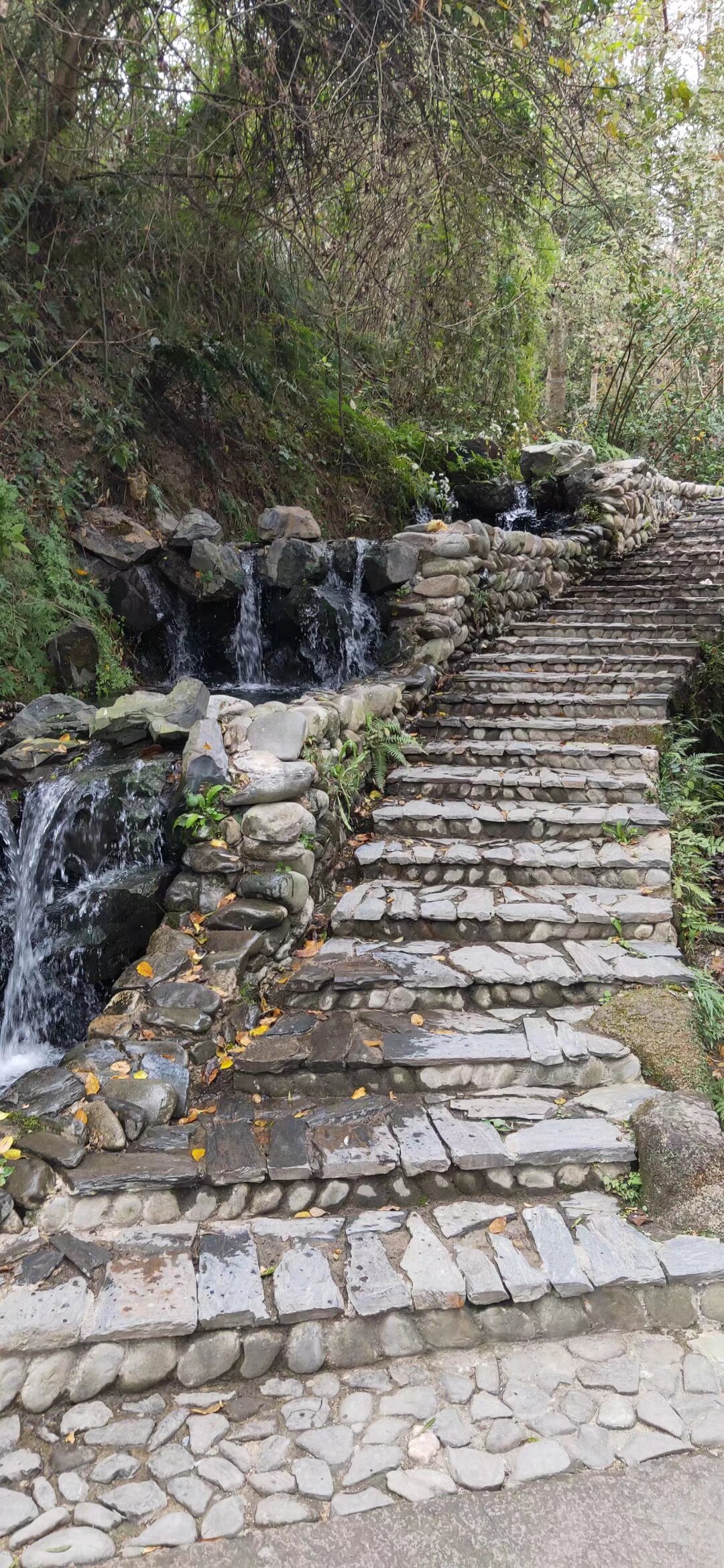 🌳山间石阶，邂逅潺潺流水的诗意_Carolin_瑶-站酷ZCOOL