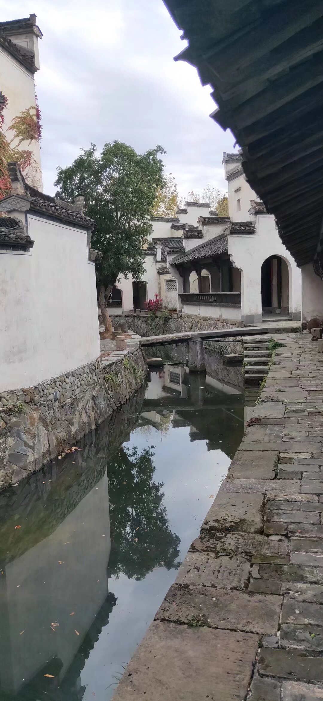 🌊水乡小巷，流淌着的宁静时光_Carolin_瑶-站酷ZCOOL