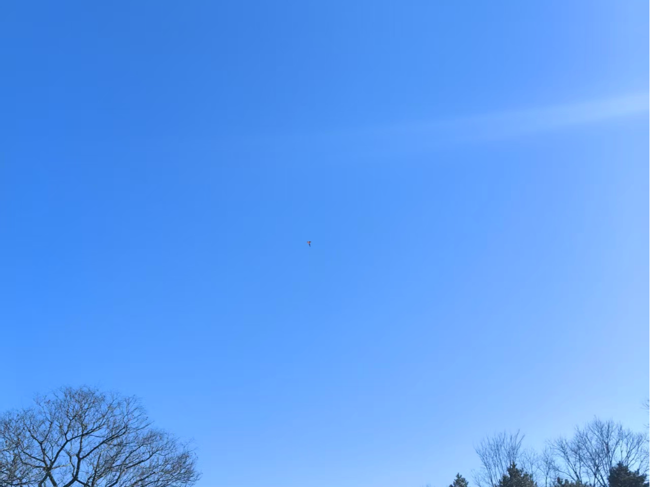 风景_Can1022-站酷ZCOOL