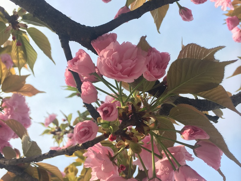 手机摄影6_cucu_J-站酷ZCOOL