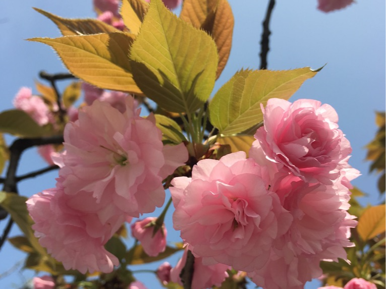 手机摄影7_cucu_J-站酷ZCOOL