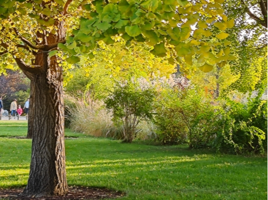 e_一凡2024-站酷ZCOOL