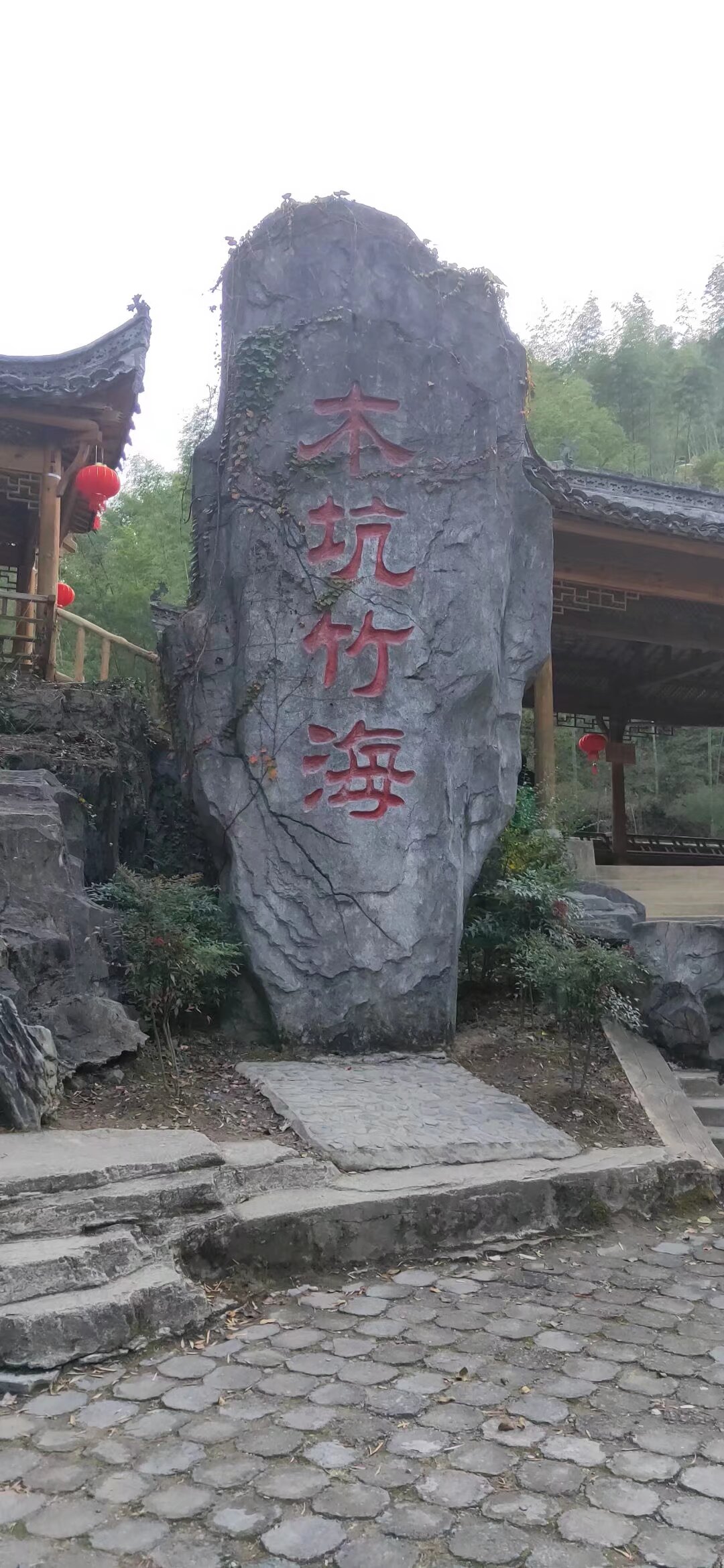 🌳木坑竹海，探寻竹林深处的清幽_Carolin_瑶-站酷ZCOOL