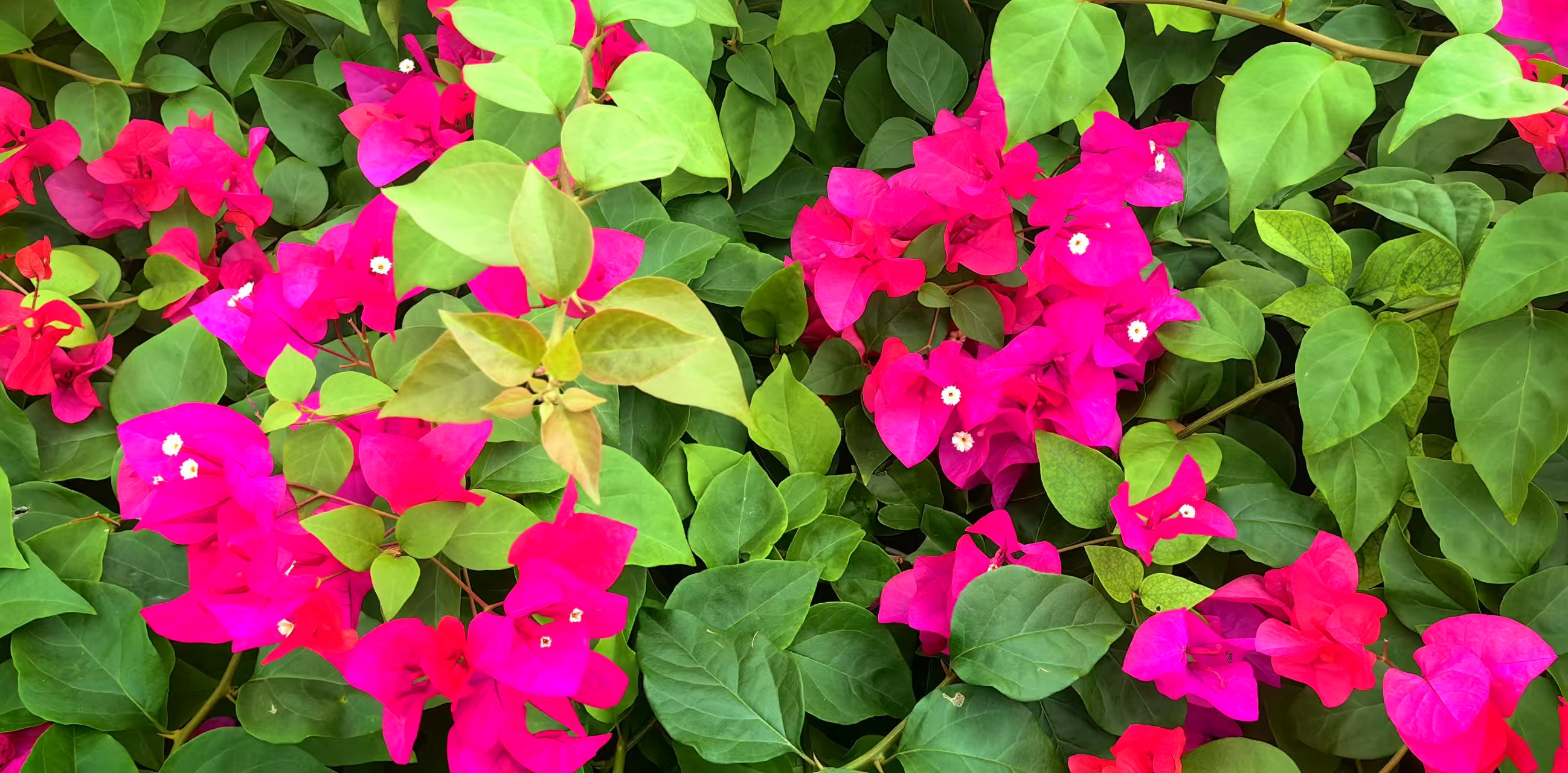 666_酷姐one-站酷ZCOOL