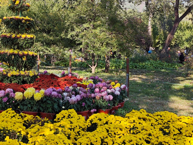 17_谢同学X-站酷ZCOOL