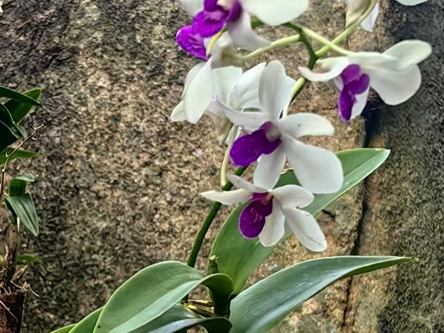 2222_酷姐one-站酷ZCOOL