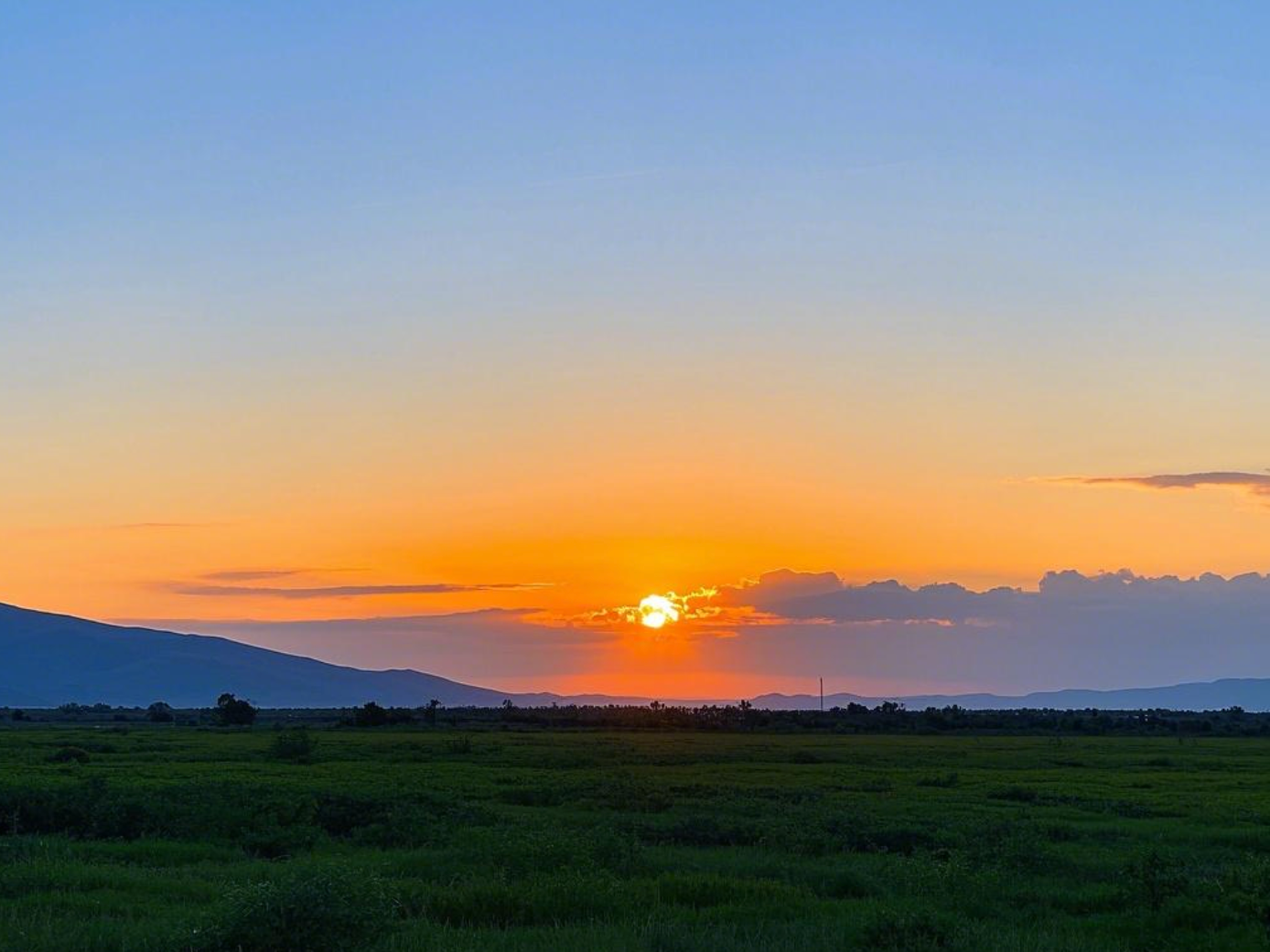 草地_haha嘻嘻-站酷ZCOOL