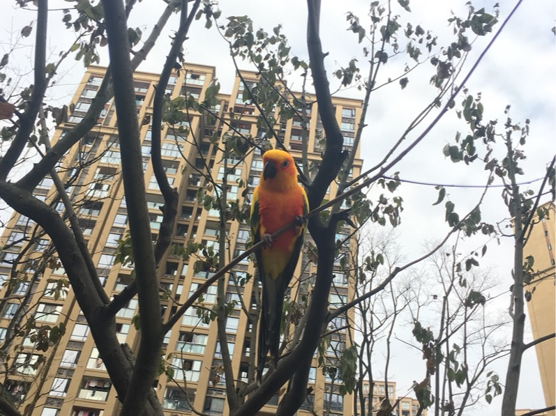 手机摄影20_cucu_J-站酷ZCOOL