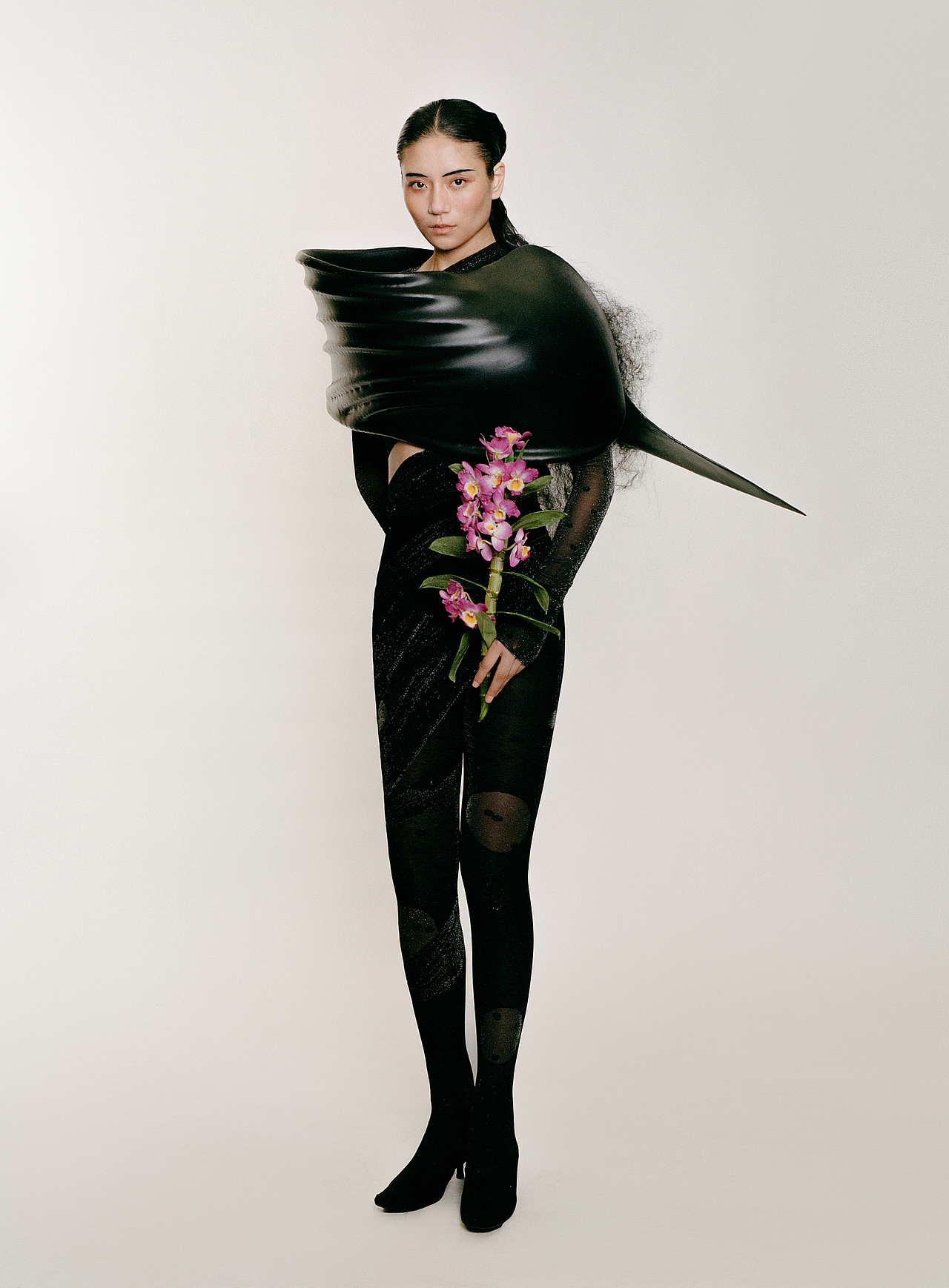 植物力量_YANGDA_杨达-站酷ZCOOL