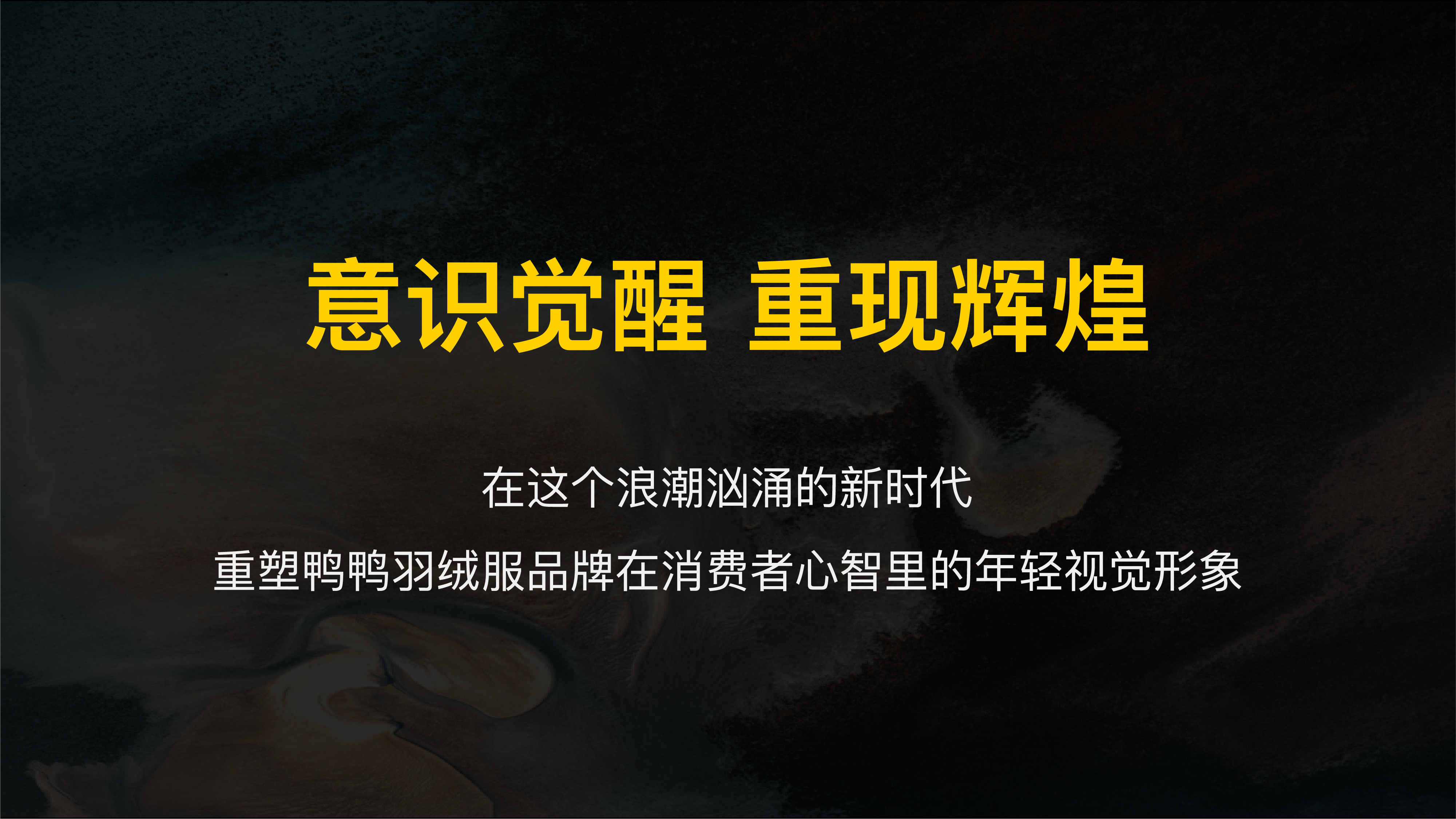 鸭鸭羽绒服品牌升级概念项目_真的是城池-站酷ZCOOL