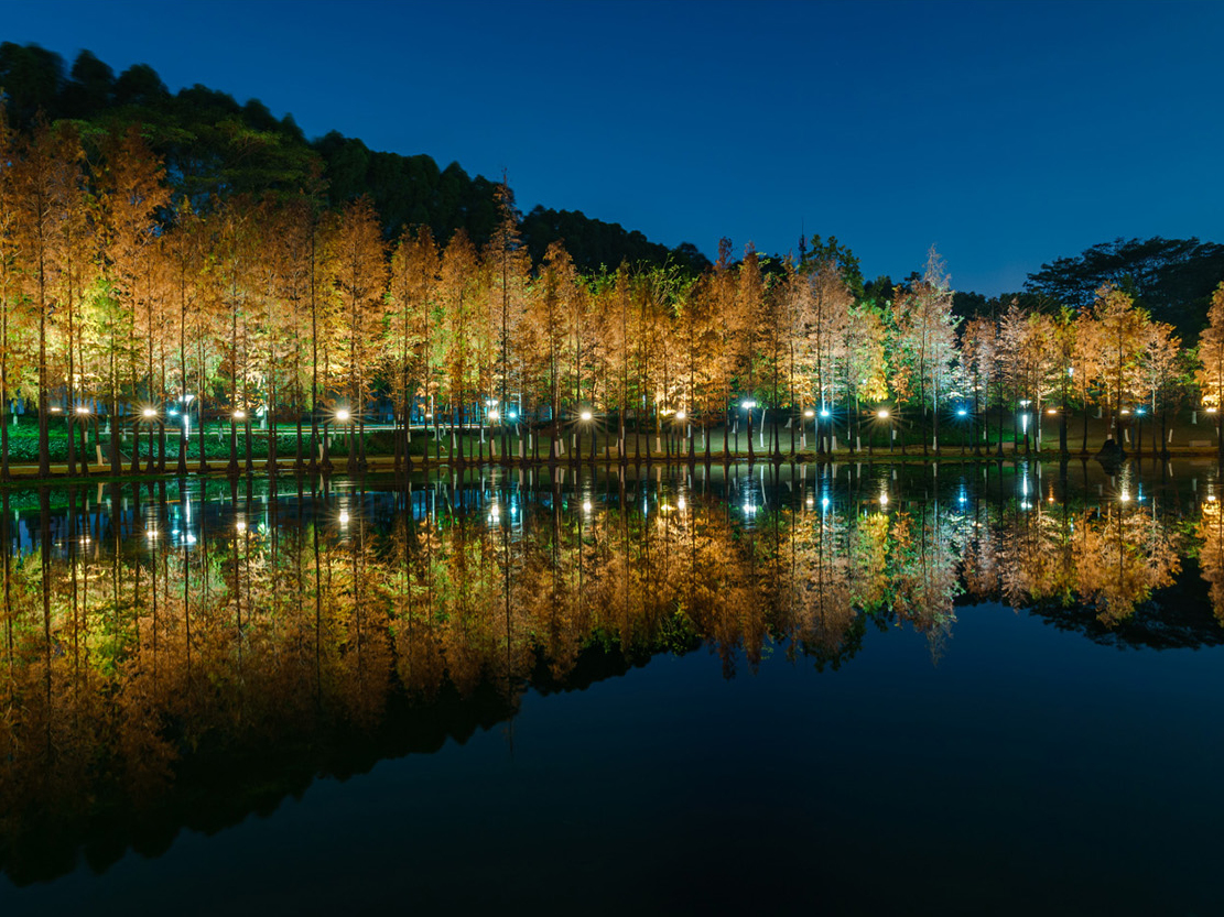 佛山千灯湖｜一夜秋_观于我的视界-站酷ZCOOL