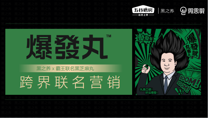 2023霸王联名黑芝麻品牌跨界营销案-21P_精英策划圈可分享-站酷ZCOOL