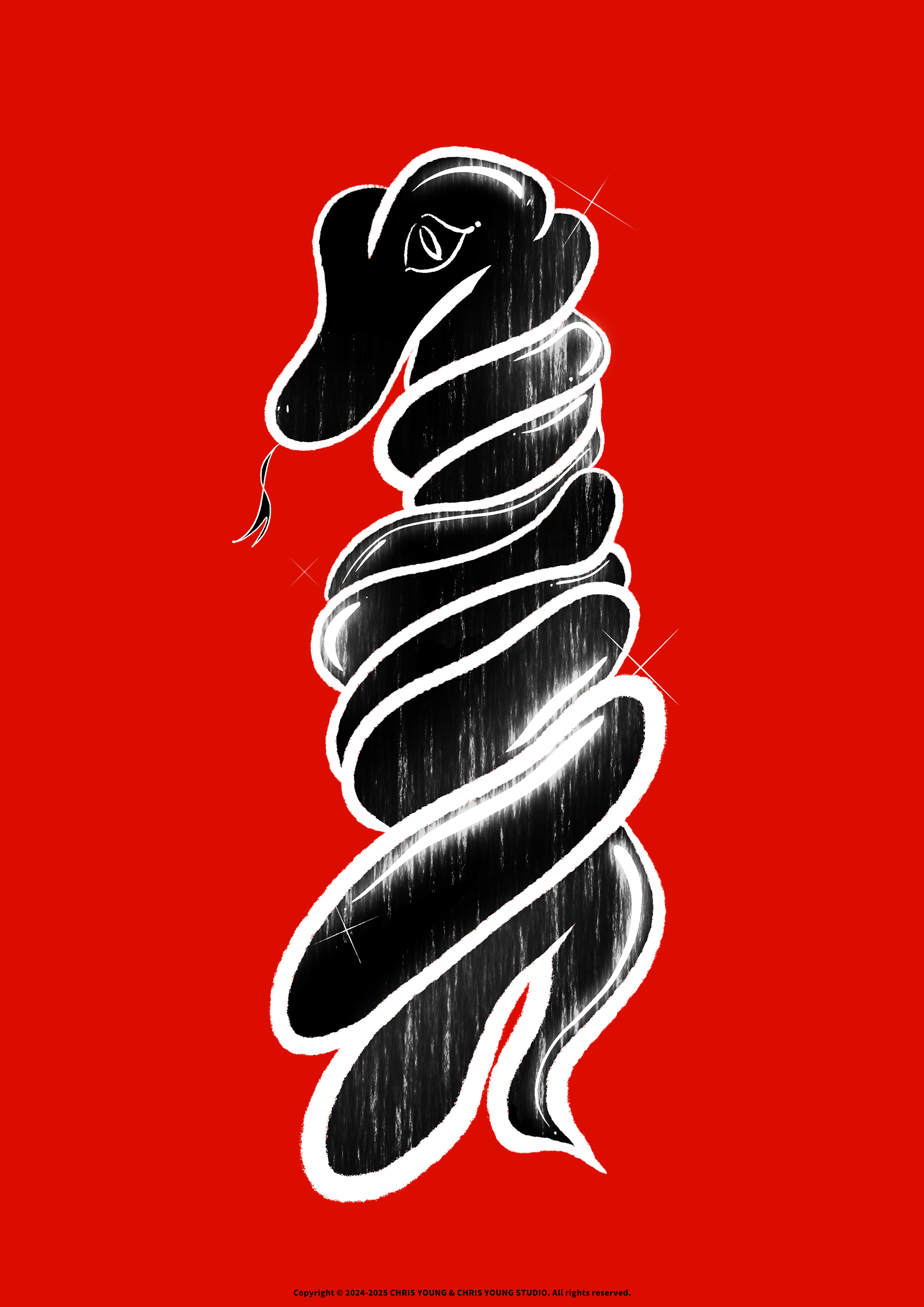 CHRIS YOUNG STUDIO 2025 SNAKE | 火熏之色，灵蛇绕年_杨镇泽CHRISYOUNG-站酷ZCOOL