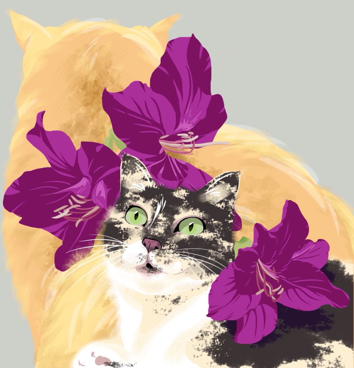 暖 光_YAM5-站酷ZCOOL