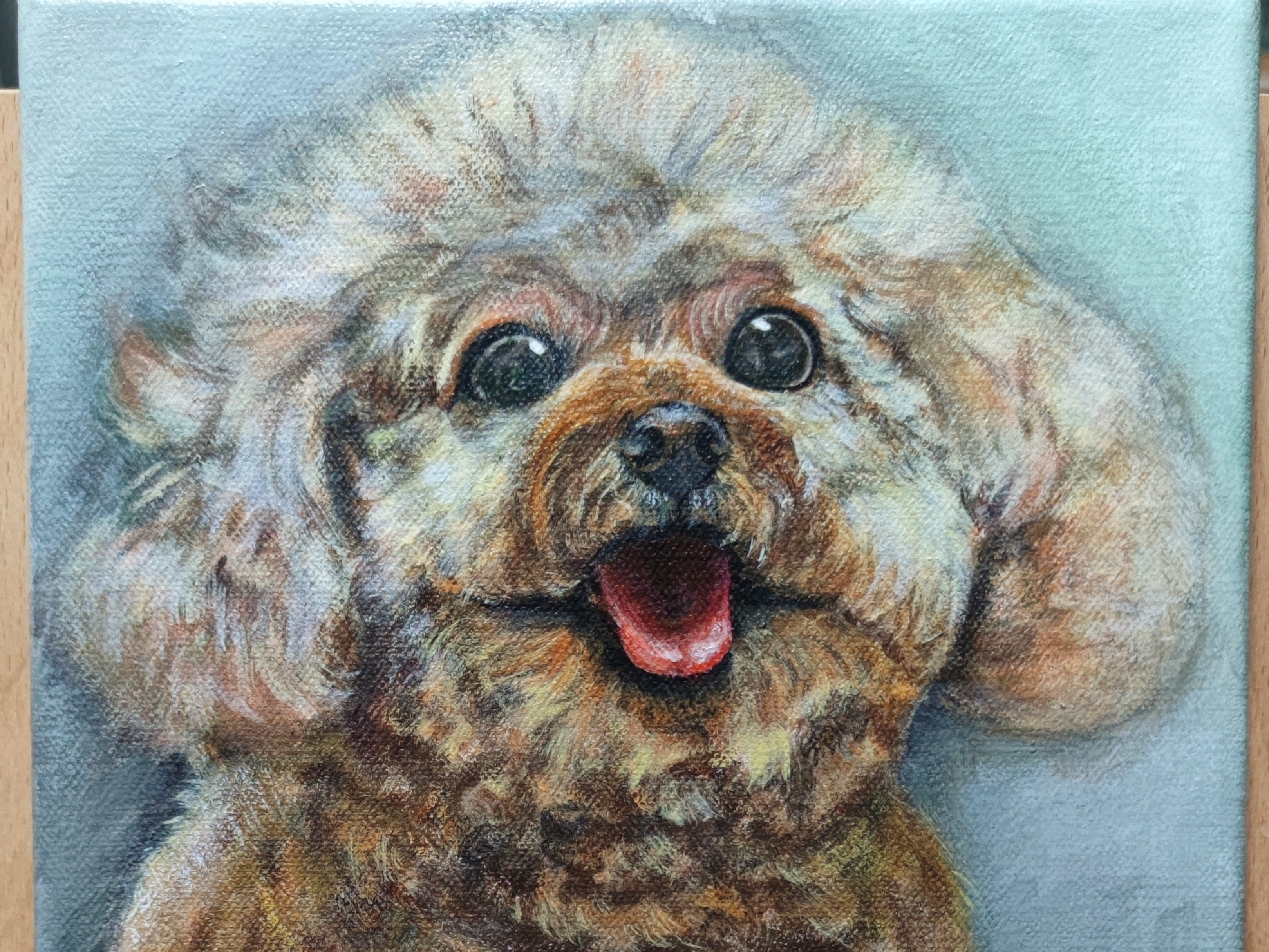 丙烯画 泰迪_AT才有喵-站酷ZCOOL