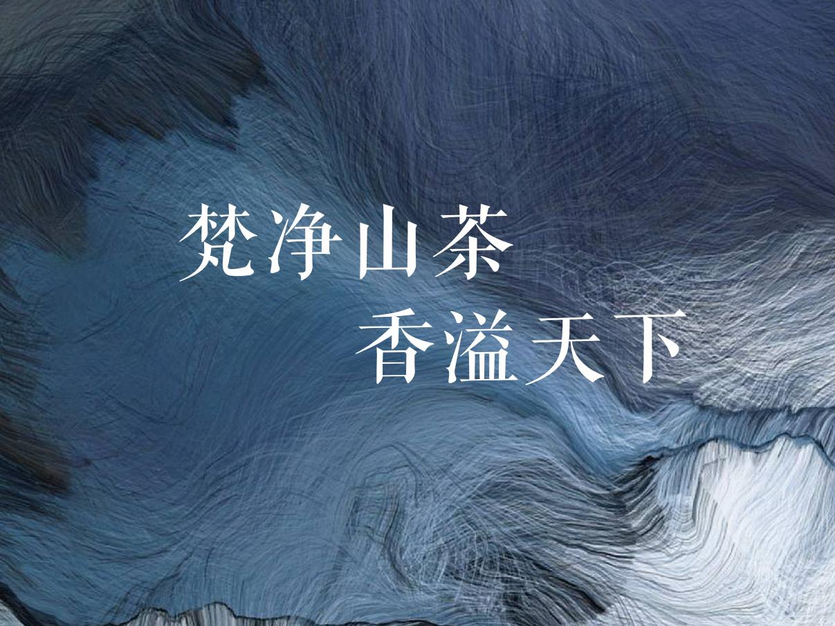 印象江口·梵净茶街——商业街包装方案_Emily5-站酷ZCOOL