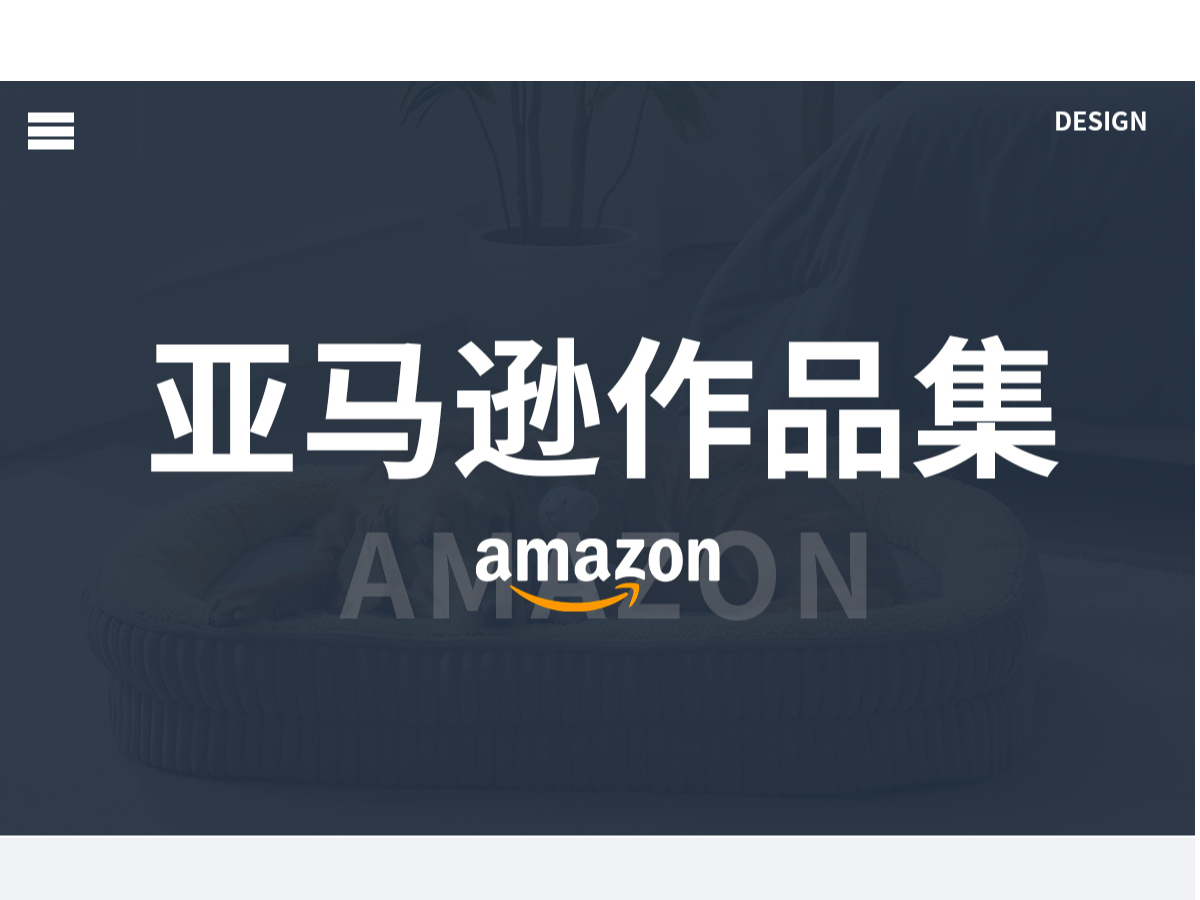 亚马逊作品集_elaine_yimi-站酷ZCOOL