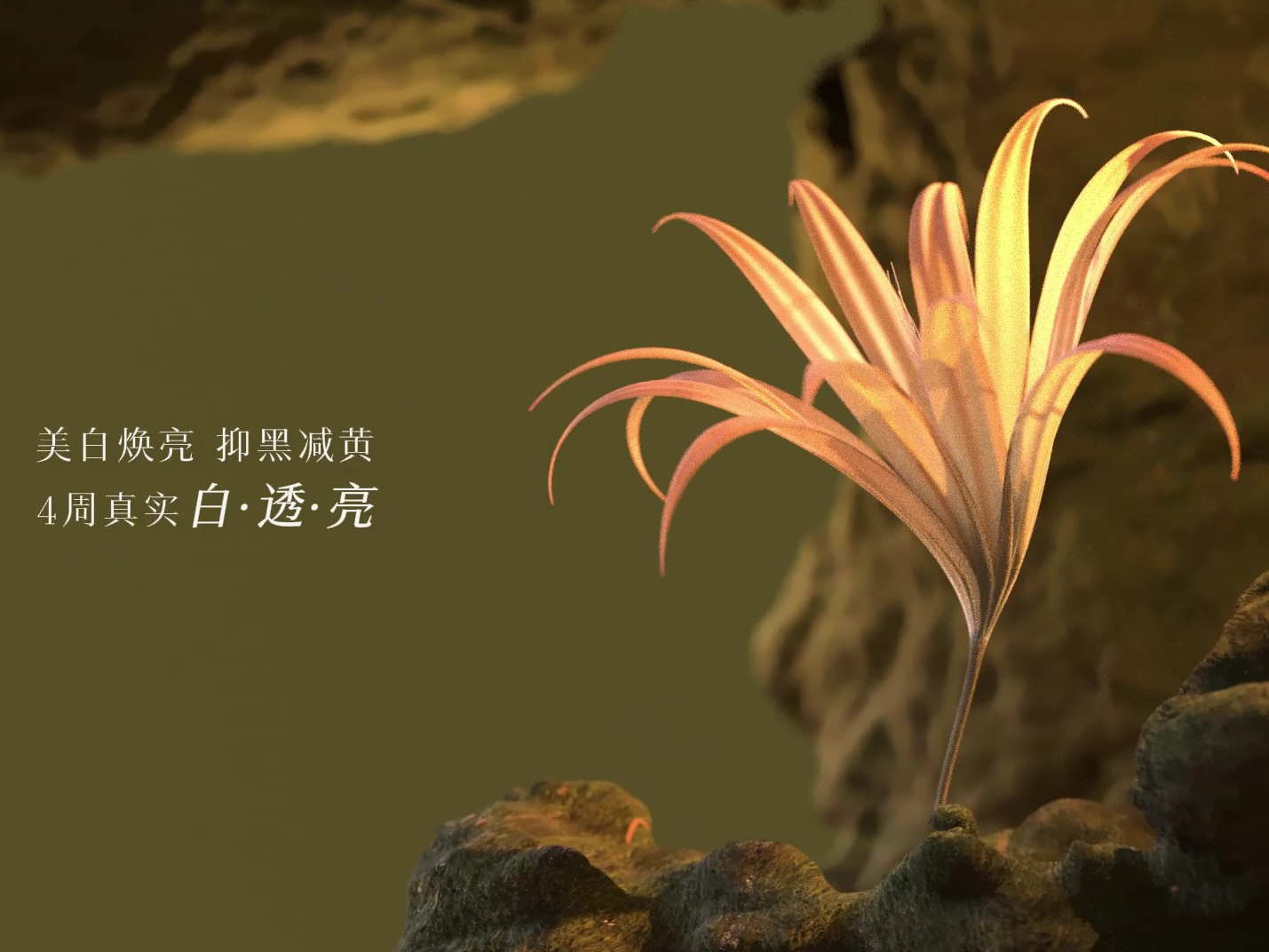 hbn_素材网站_图片免费下载-ZCOOL站酷