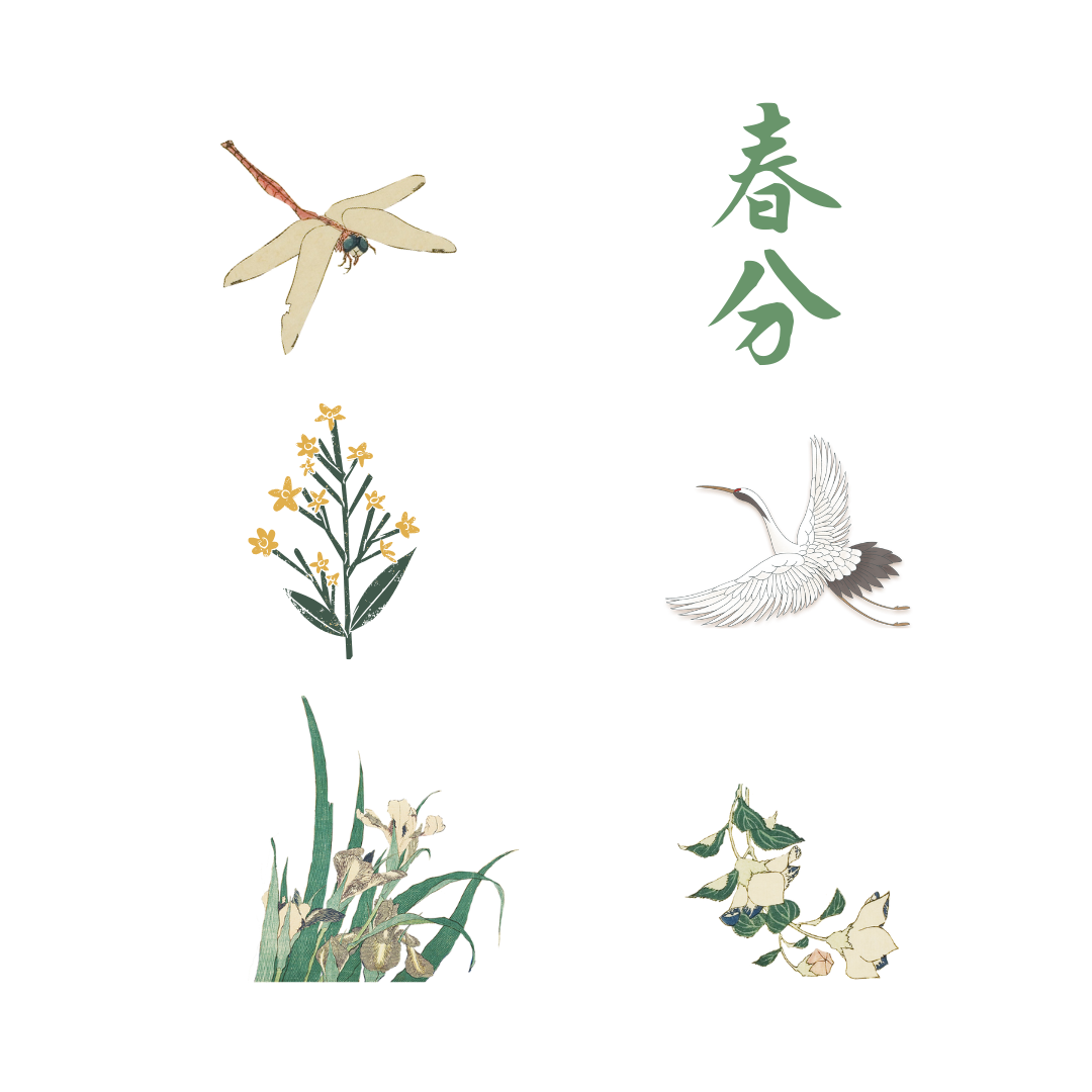 春分贴纸素材_飞飞_FvFv-站酷ZCOOL