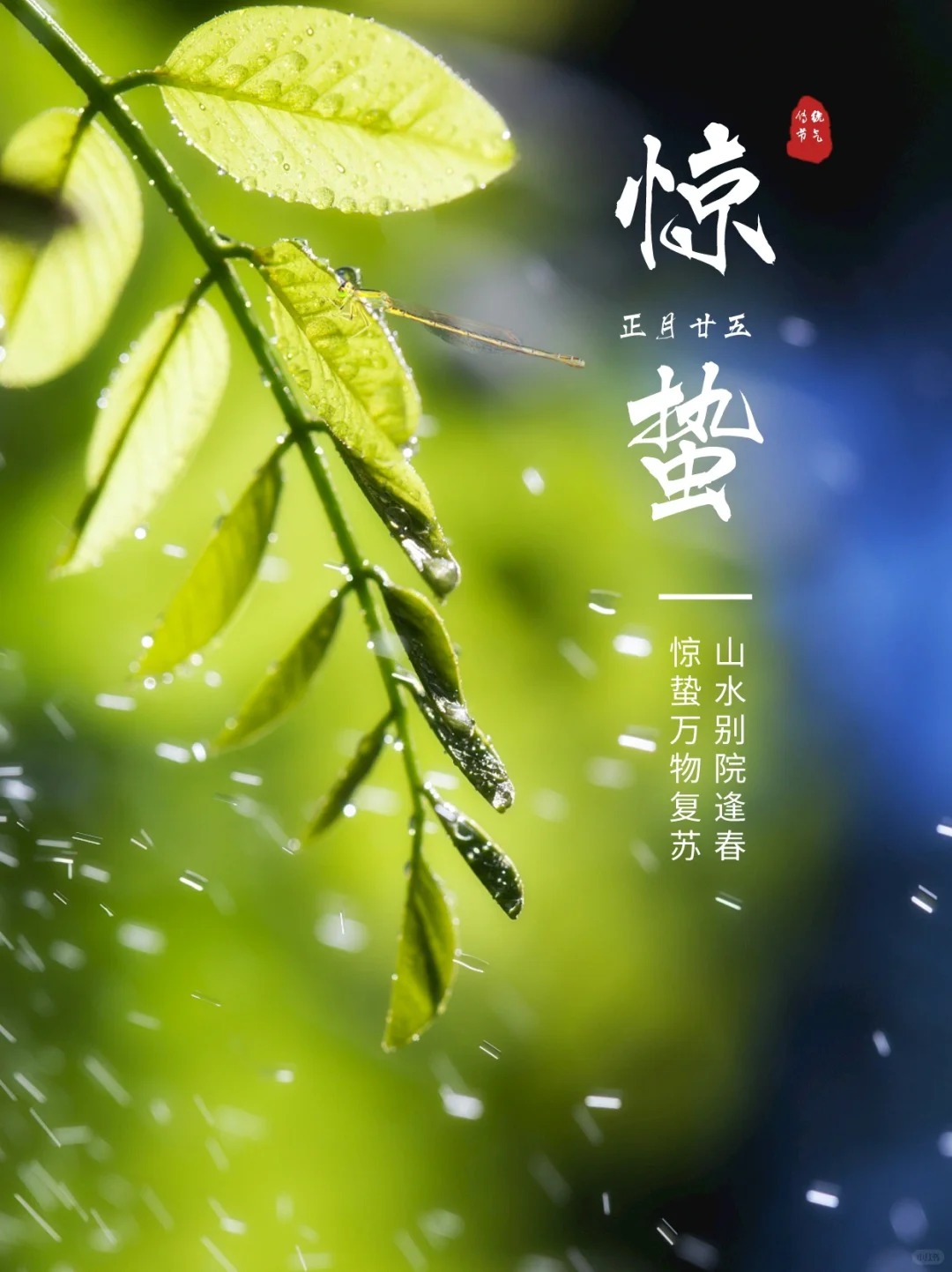 惊蛰_沙僧佳霄SEA-站酷ZCOOL