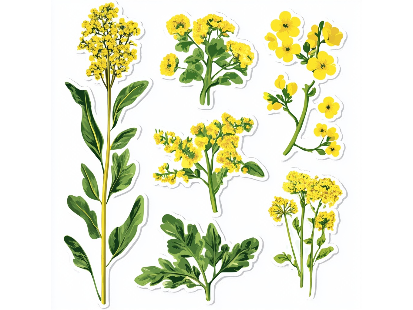 春分贴纸素材_飞飞_FvFv-站酷ZCOOL