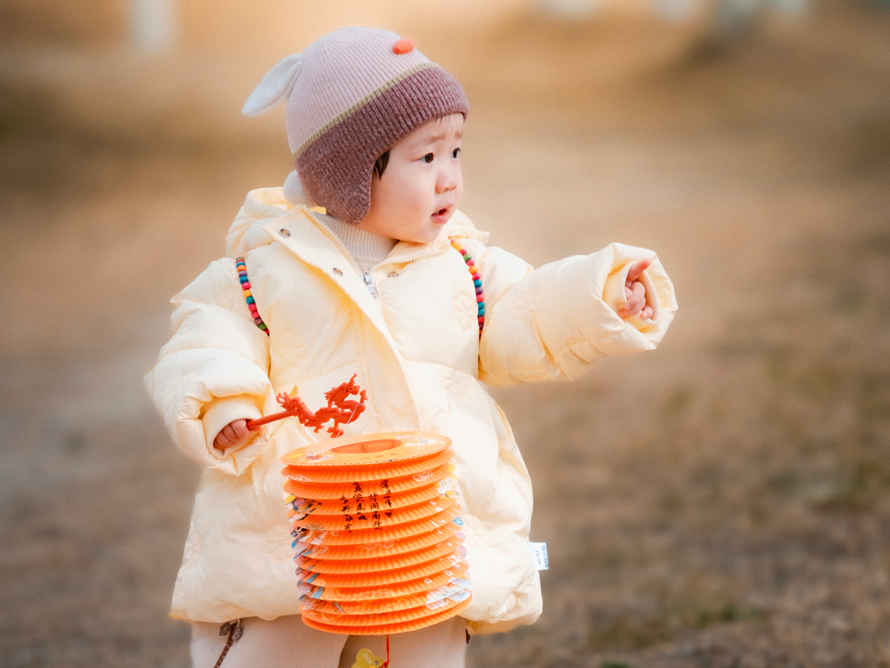 游花灯 放烟花 闹元宵_viuner-站酷ZCOOL