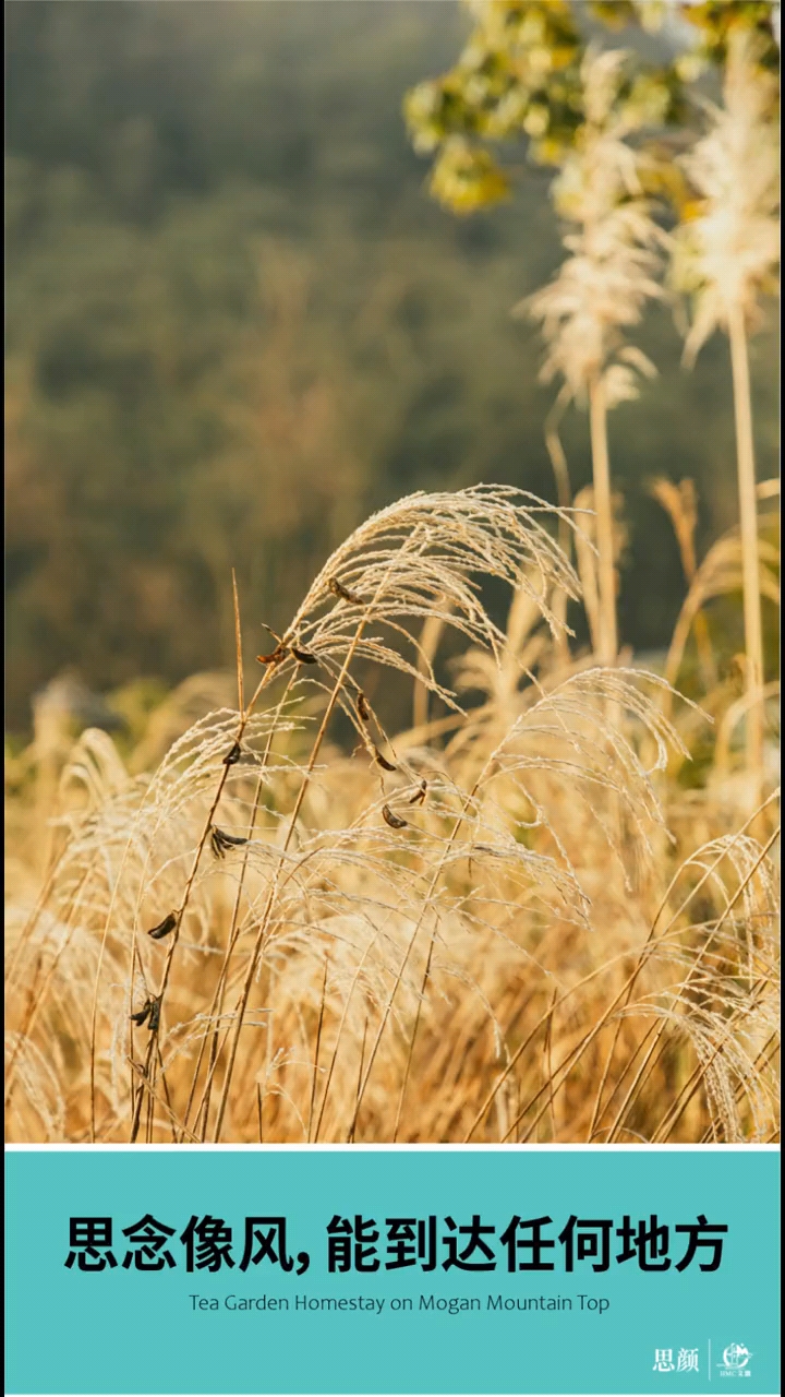 莫干山风景_刘仕卿-站酷ZCOOL
