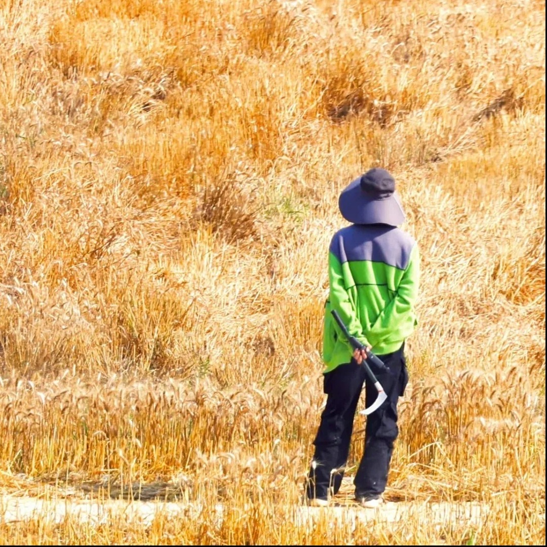 是晴qin天创作者主页_北京学生-站酷ZCOOL