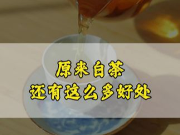 原来喝白茶还有这么多好处_硕0818-站酷ZCOOL
