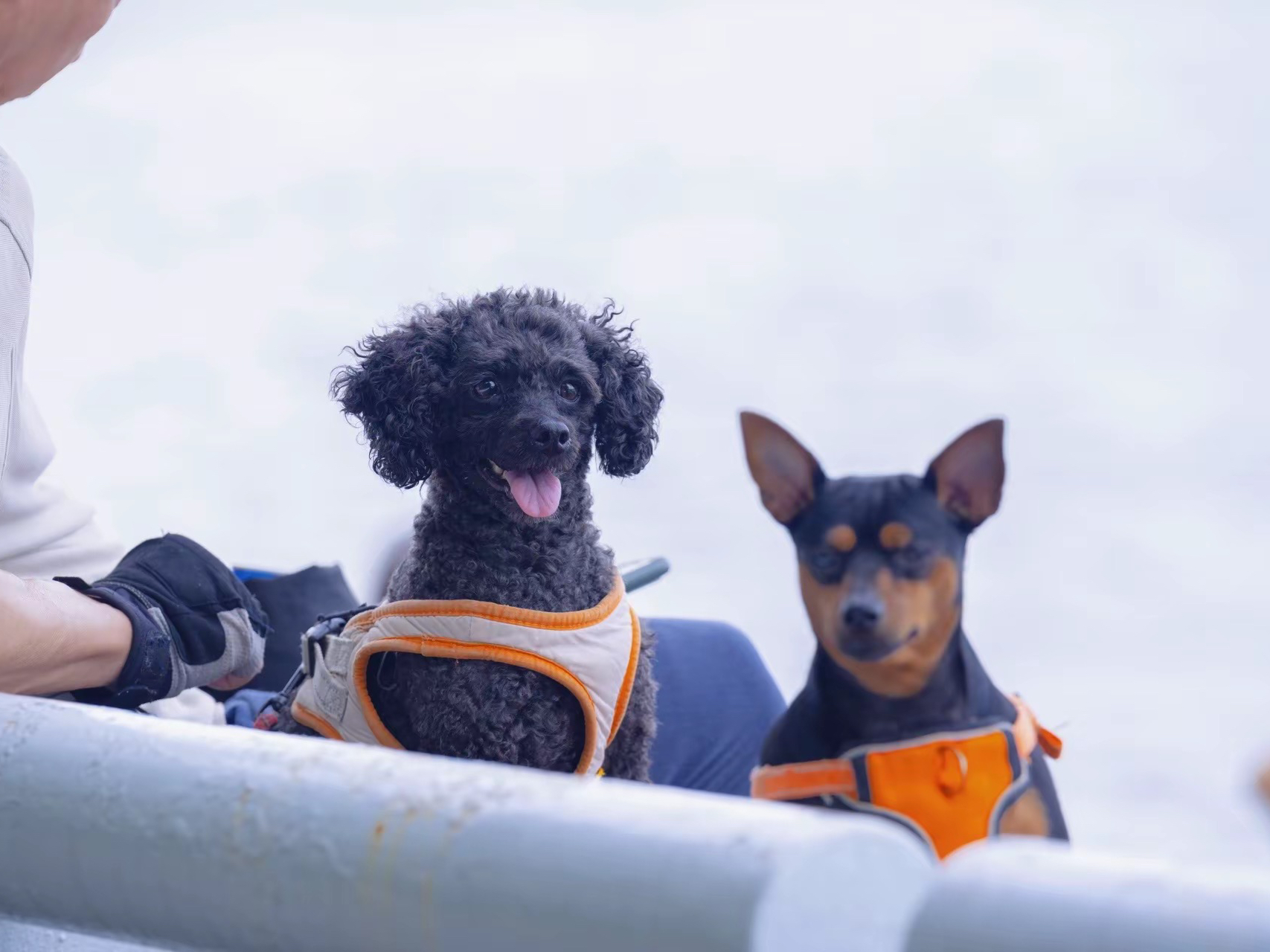 出去玩拍摄_BYBAIYT-站酷ZCOOL