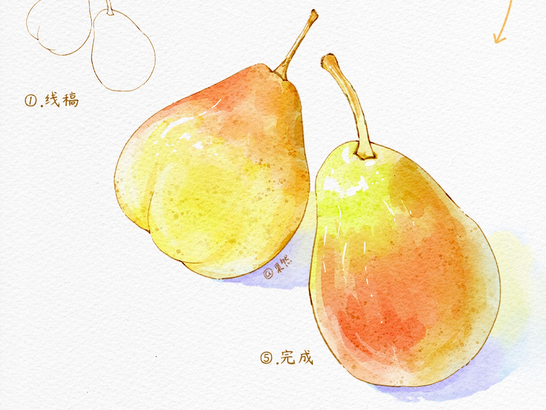 【ipad水彩】十分钟教你画梨子，有手就会！！_果然24-站酷ZCOOL