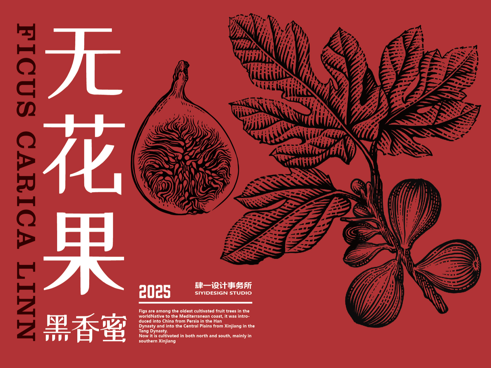 无花果包装版画_肆一SIYI-站酷ZCOOL