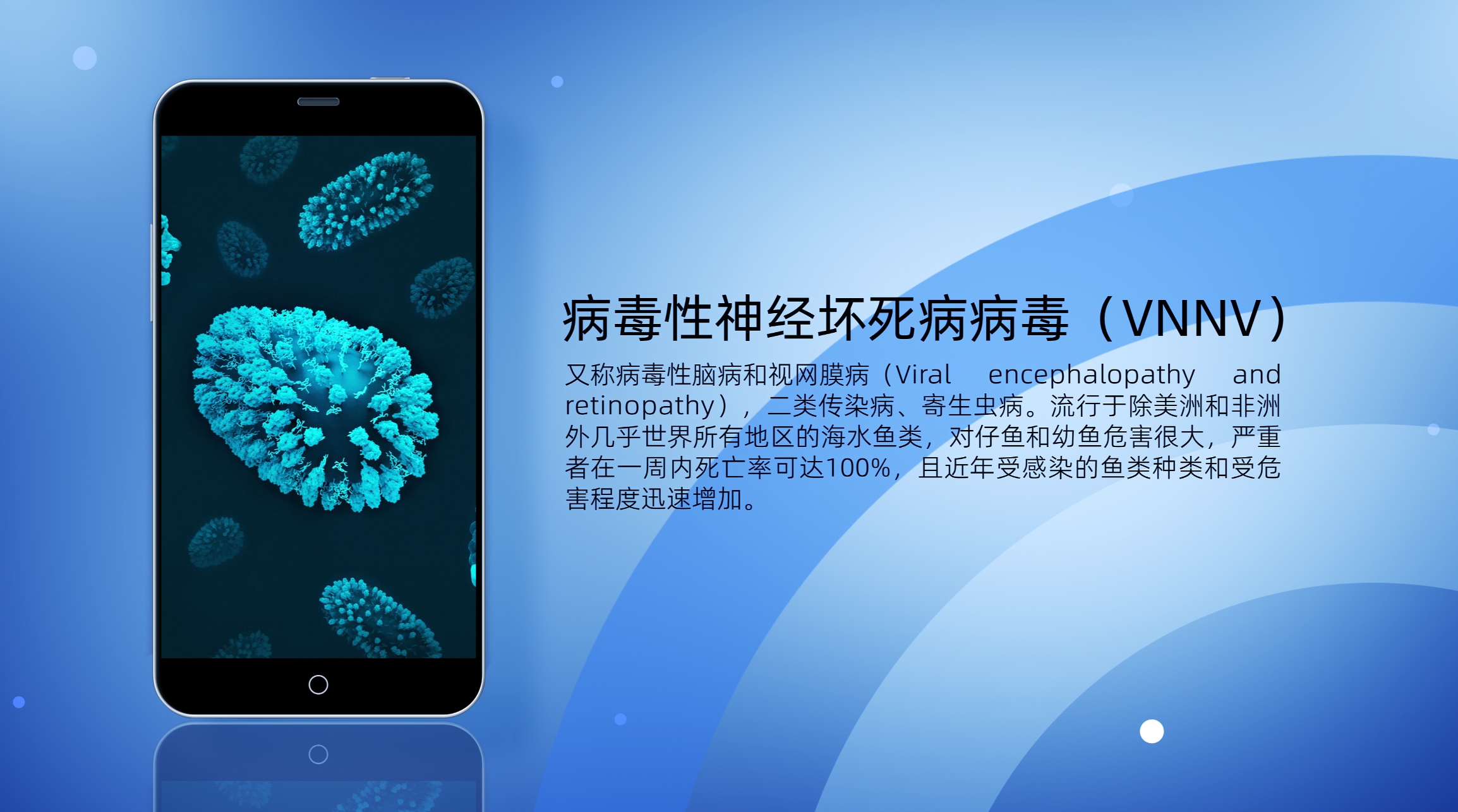 检测医疗试剂盒_HAISI88-站酷ZCOOL