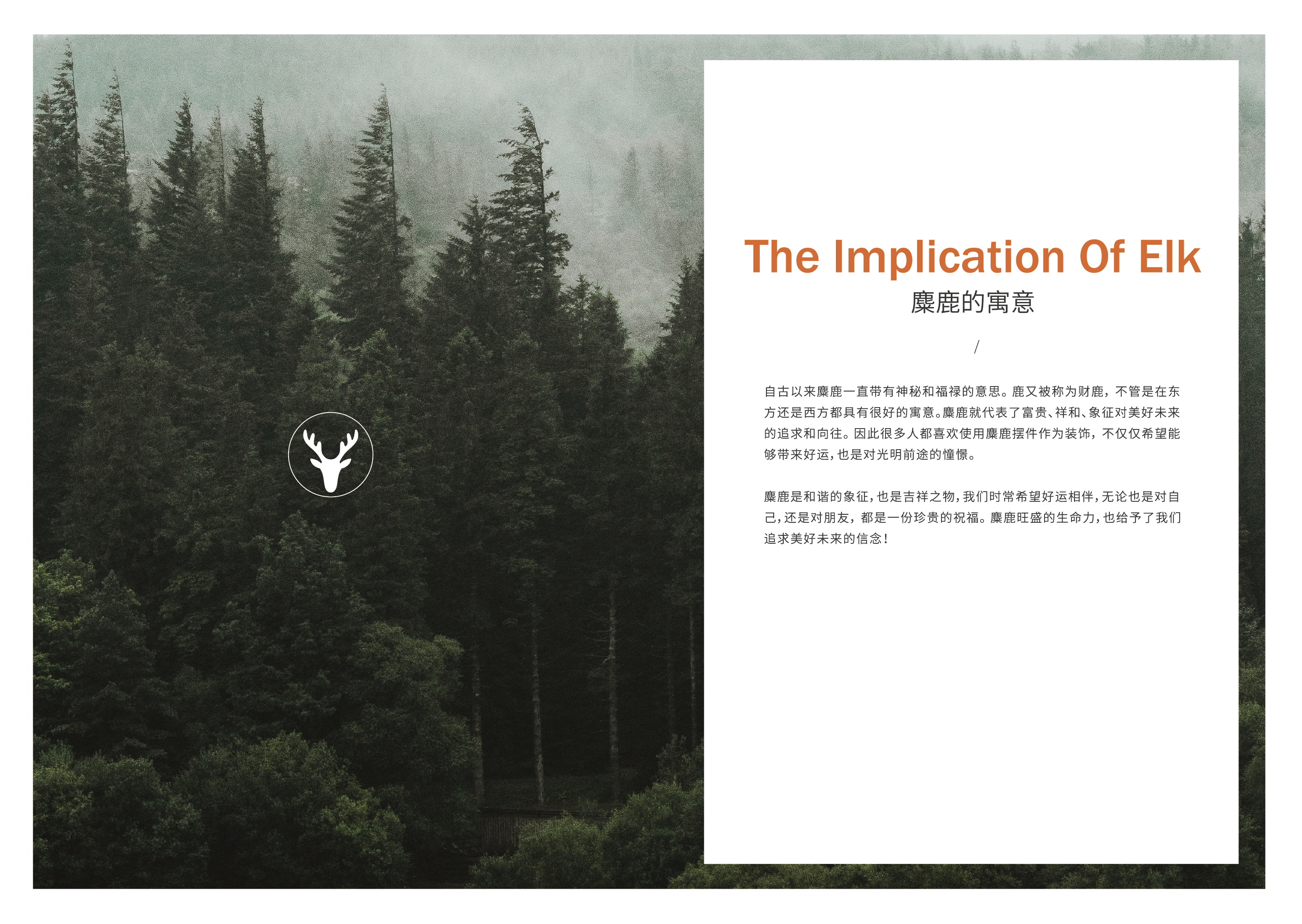 新系列产品手册_NO85757-站酷ZCOOL