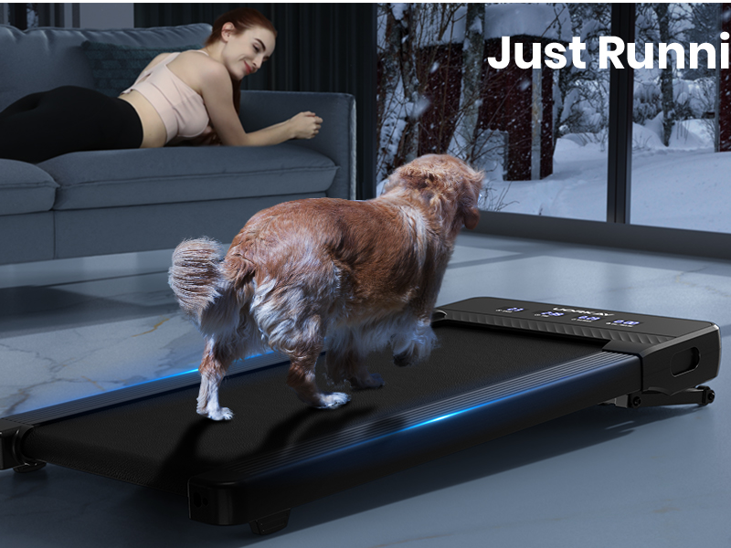 跑步机/A+_0ZzzZ0-站酷ZCOOL