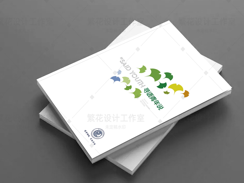 封面设计-计划书封面_繁花设计工作室-站酷ZCOOL