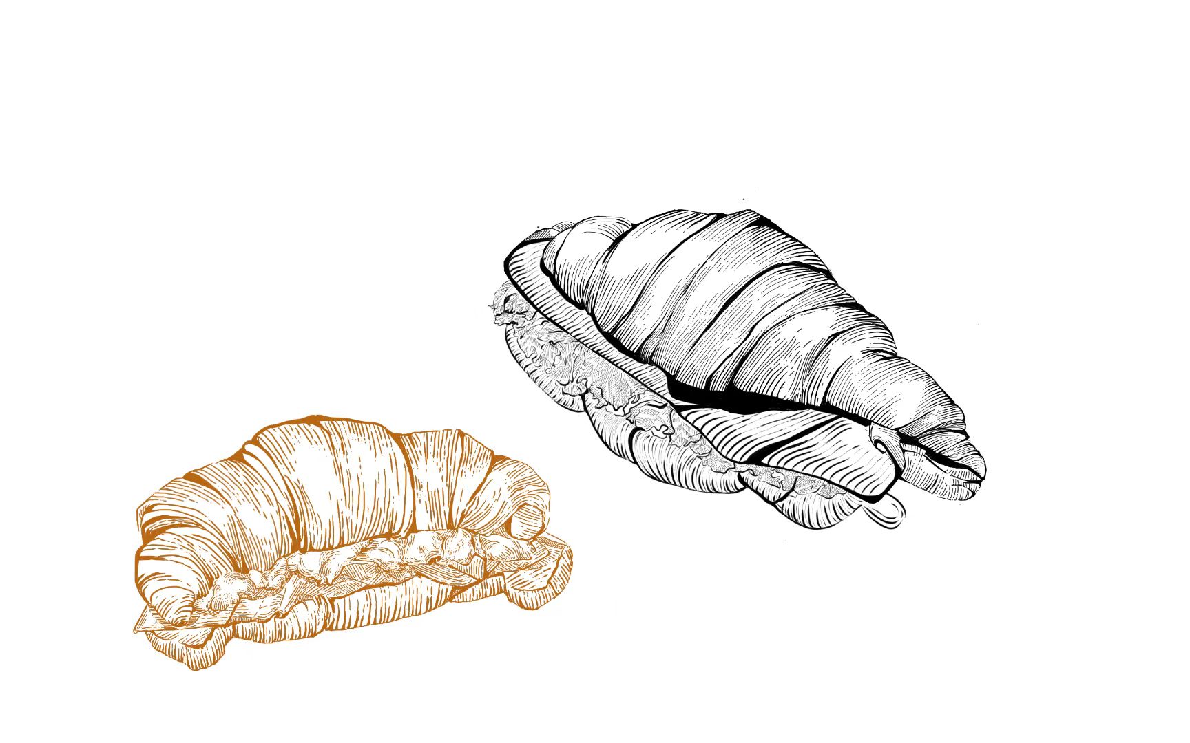 线条_MZIQ-站酷ZCOOL