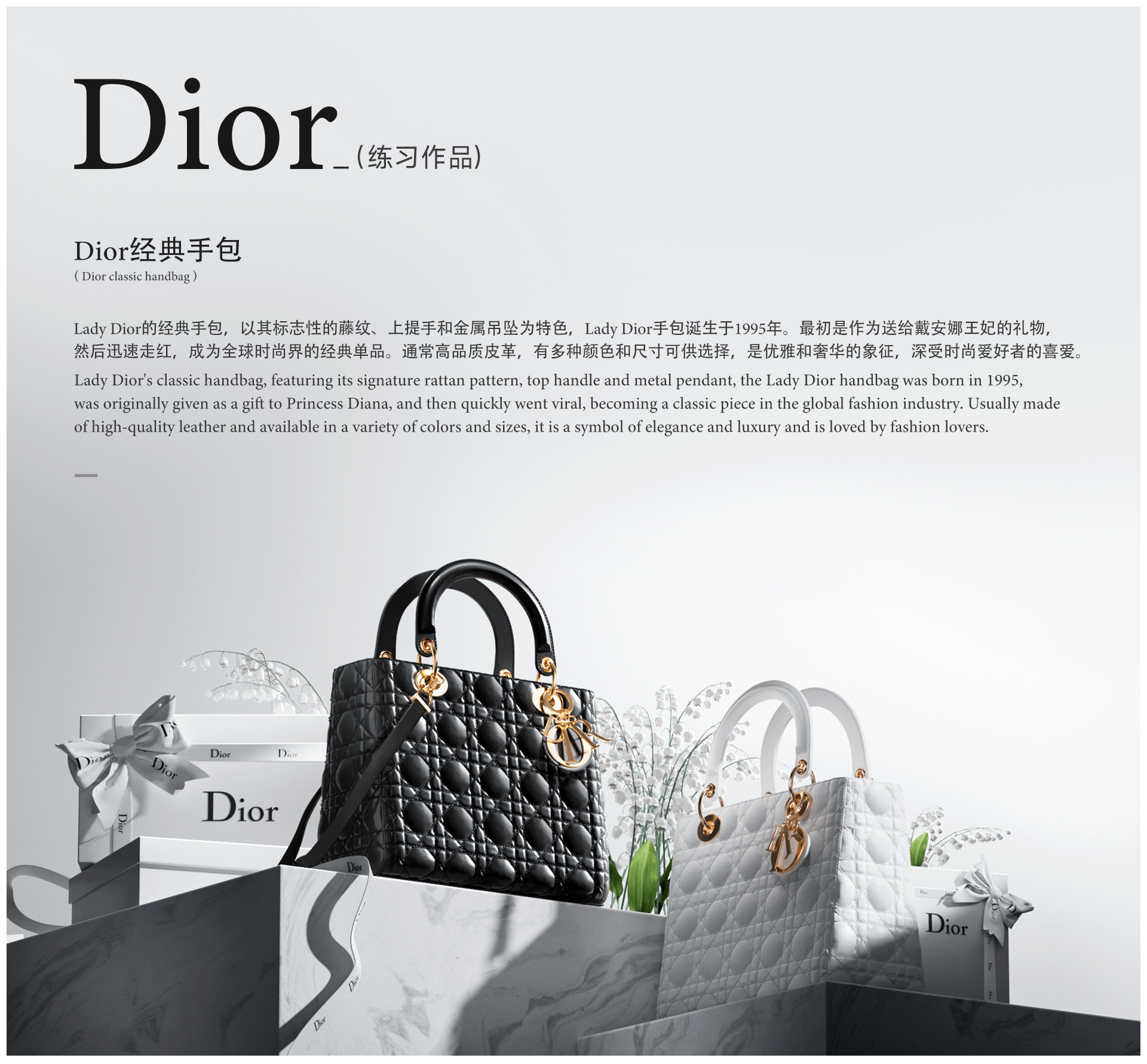《DIOR》_淡淡的人机-站酷ZCOOL