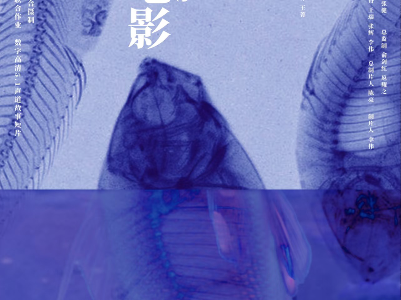 《海边电影》海报_九红工作室-站酷ZCOOL