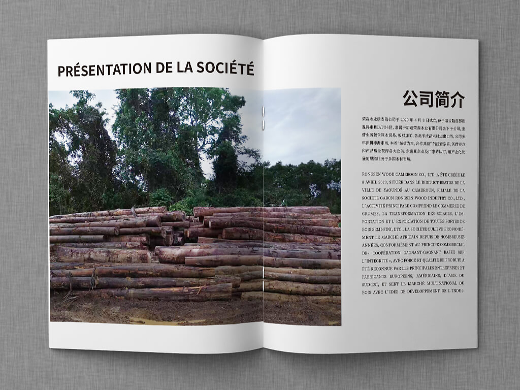 木业公司VI设计_黄晴晴-站酷ZCOOL